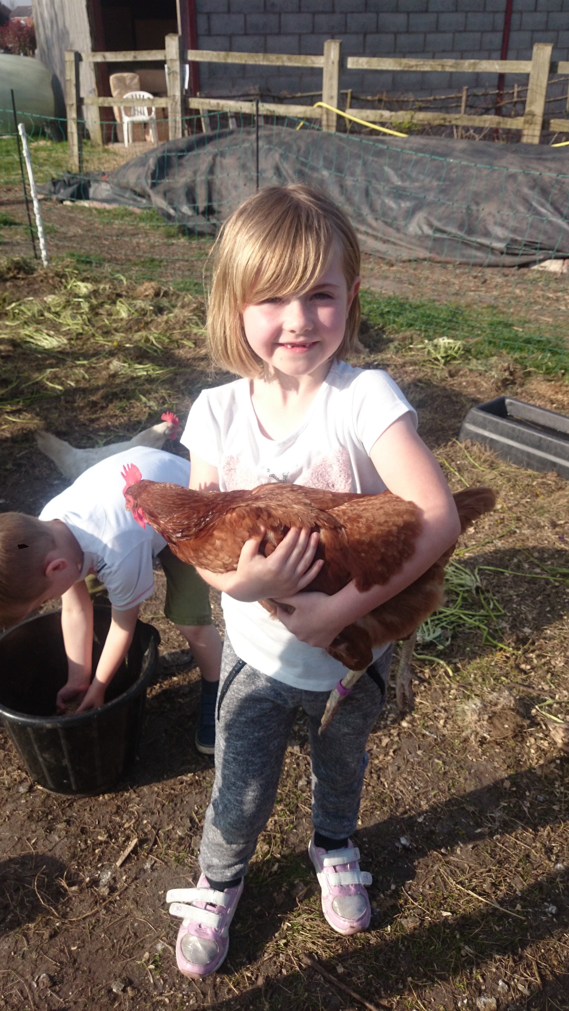 Working with Children and Animals – Greenslate Community Farm